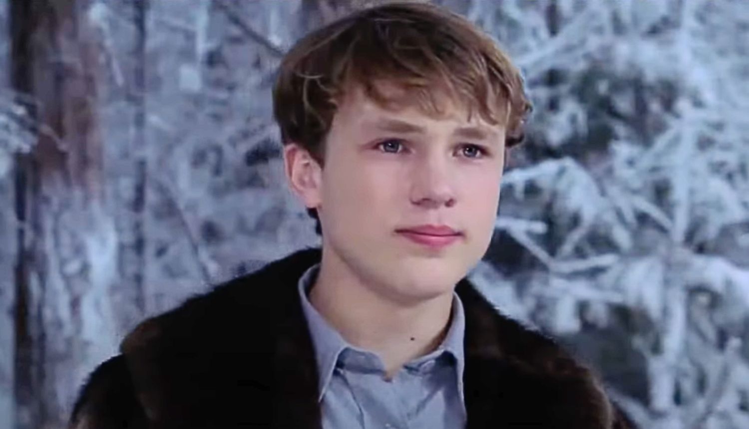 Narnia The Lion The Witch And The Wardrobe Characters The Lion, The