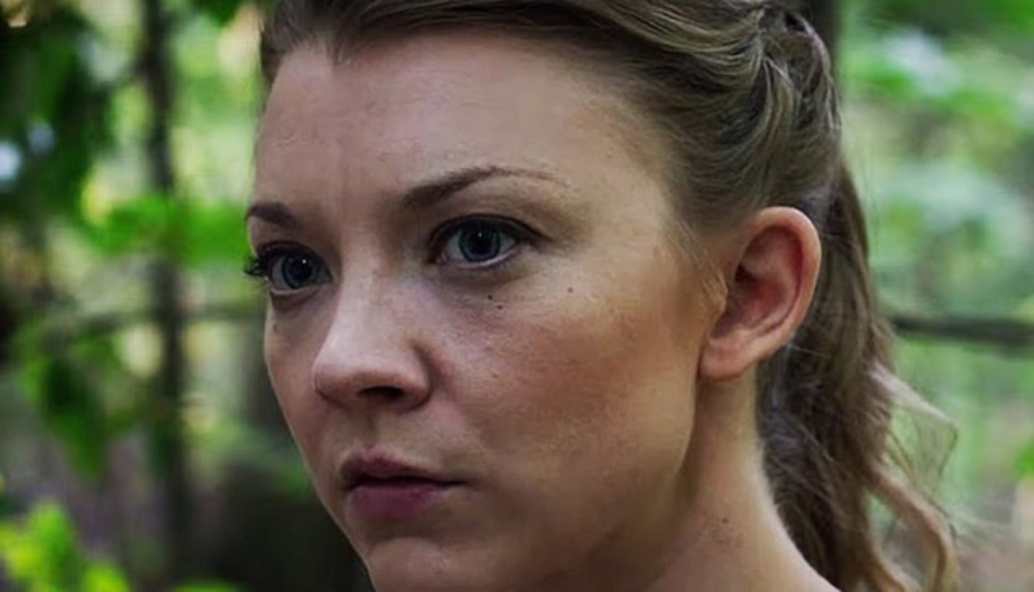 The Forest - Plugged In