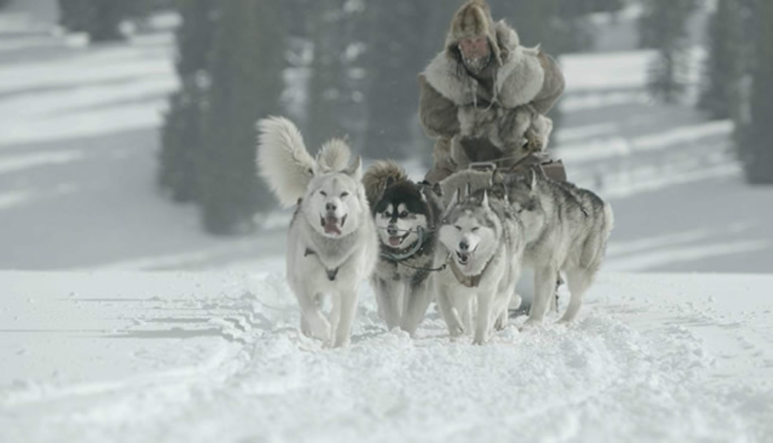 The Great Alaskan Race - Plugged In