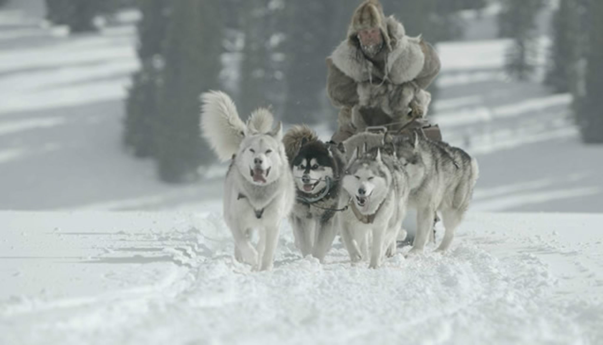 The Great Alaskan Race - Plugged In