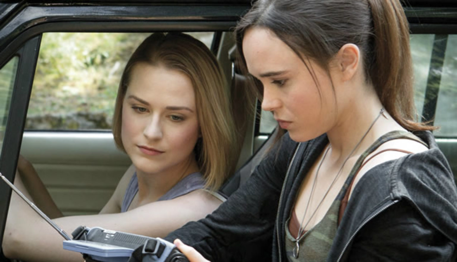 Into the Forest - Plugged In