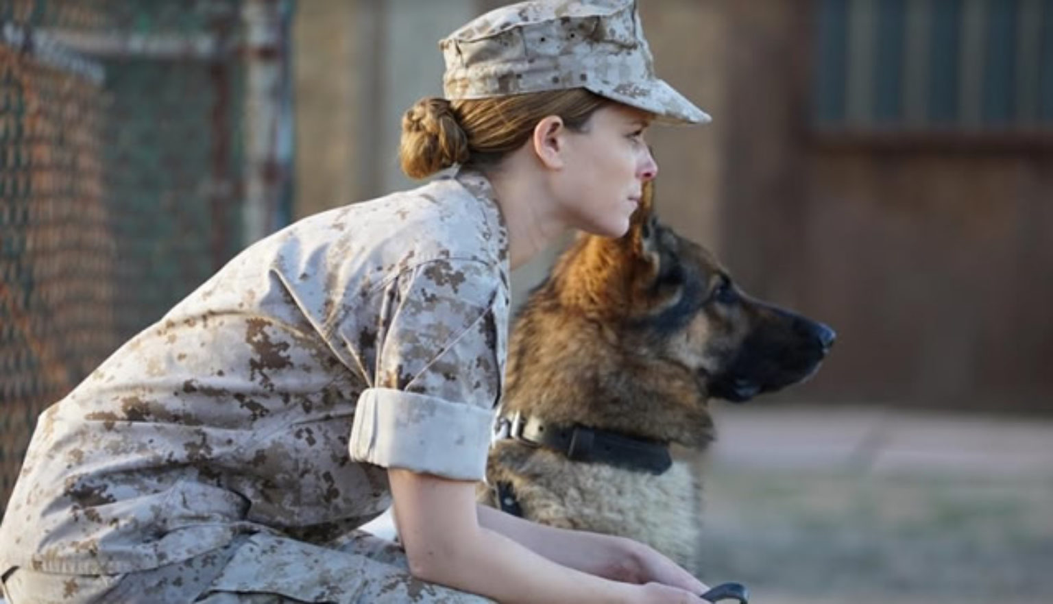 Megan Leavey Plugged In