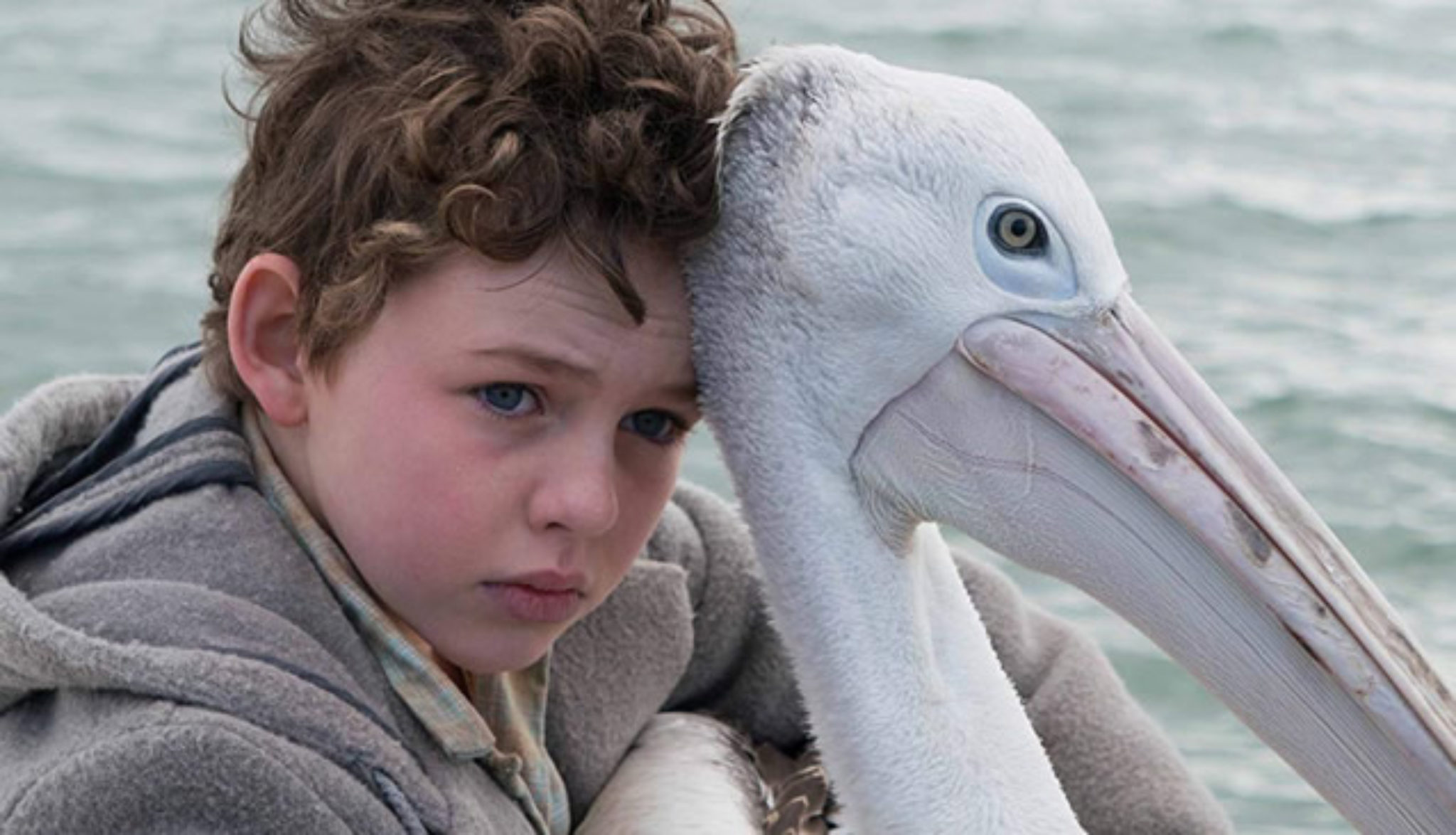 Storm Boy - Plugged In