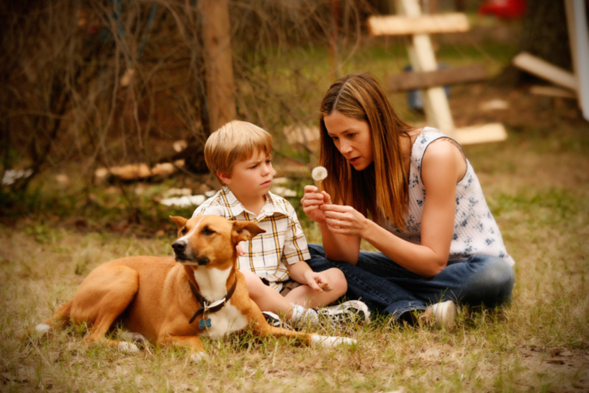 Like Dandelion Dust - Plugged In