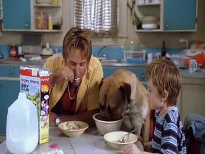 See Spot Run - Plugged In