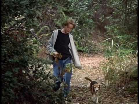 Shiloh 2: Shiloh Season - Plugged In