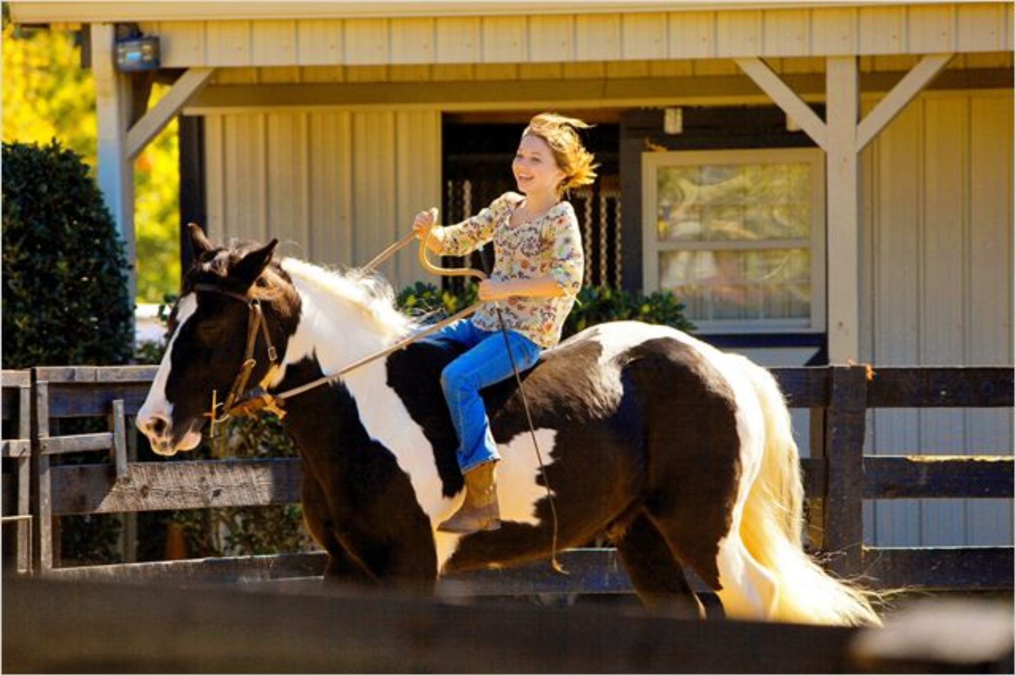 The Greening of Whitney Brown - Plugged In