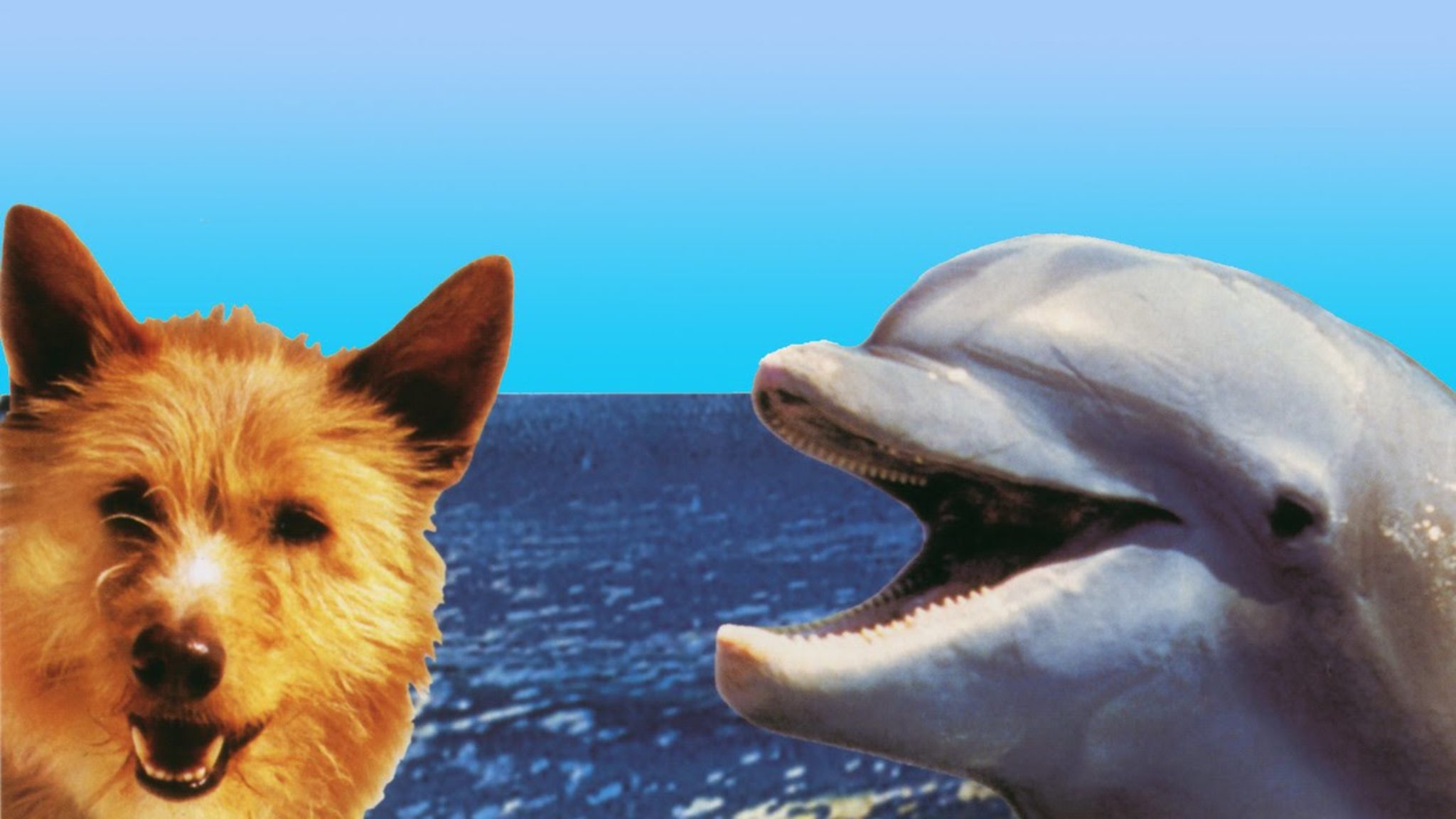 Zeus and Roxanne - Plugged In