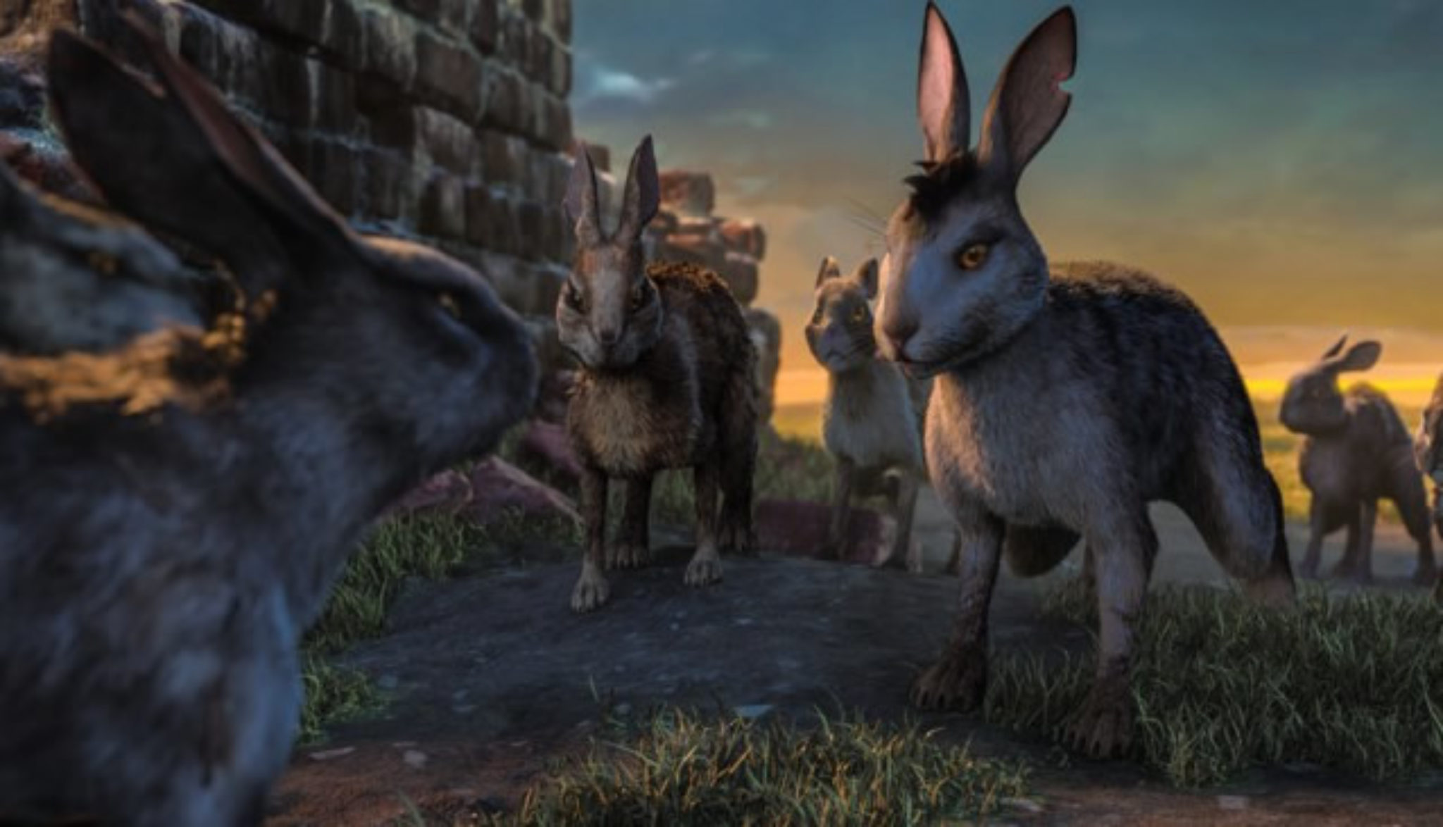 Watership Down - Plugged In