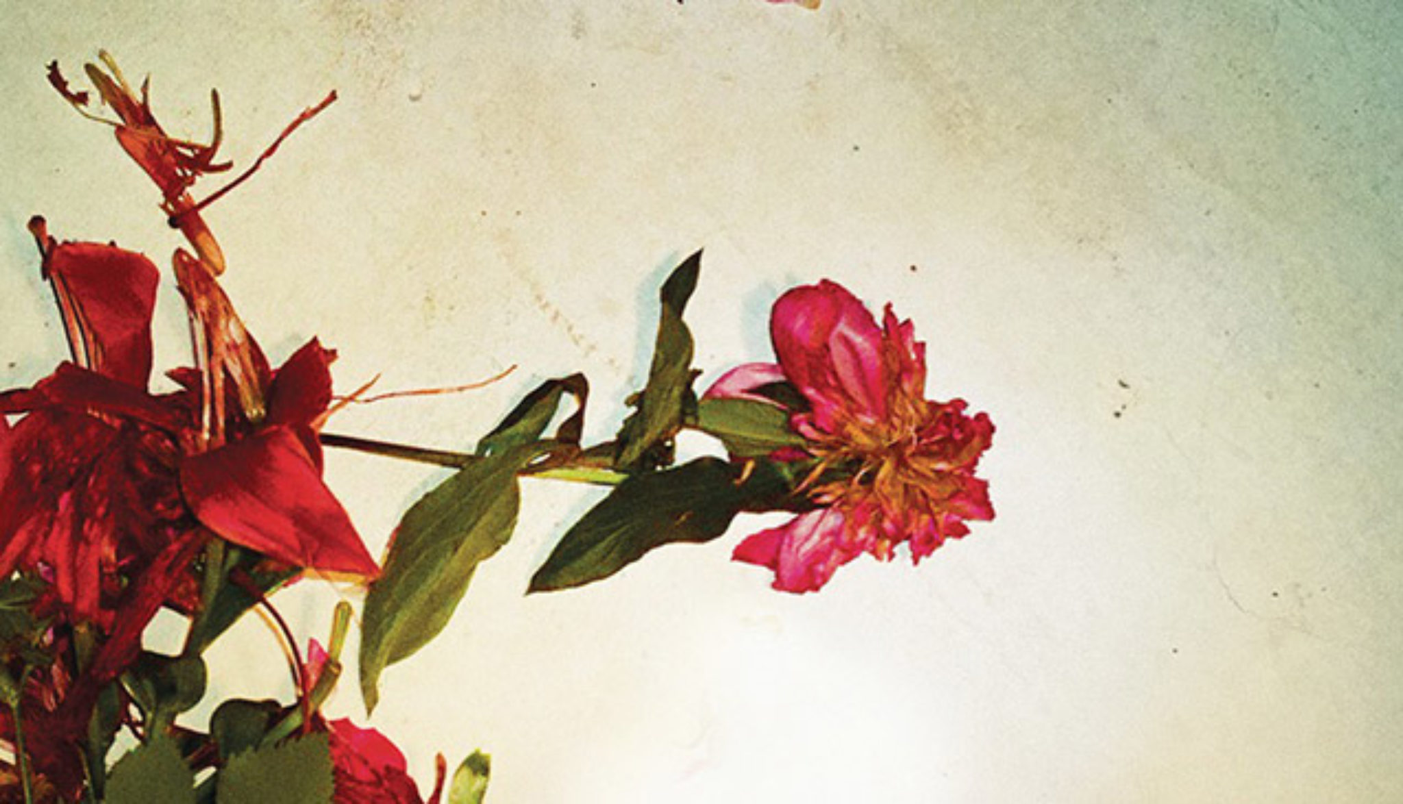 Baptized - Plugged In