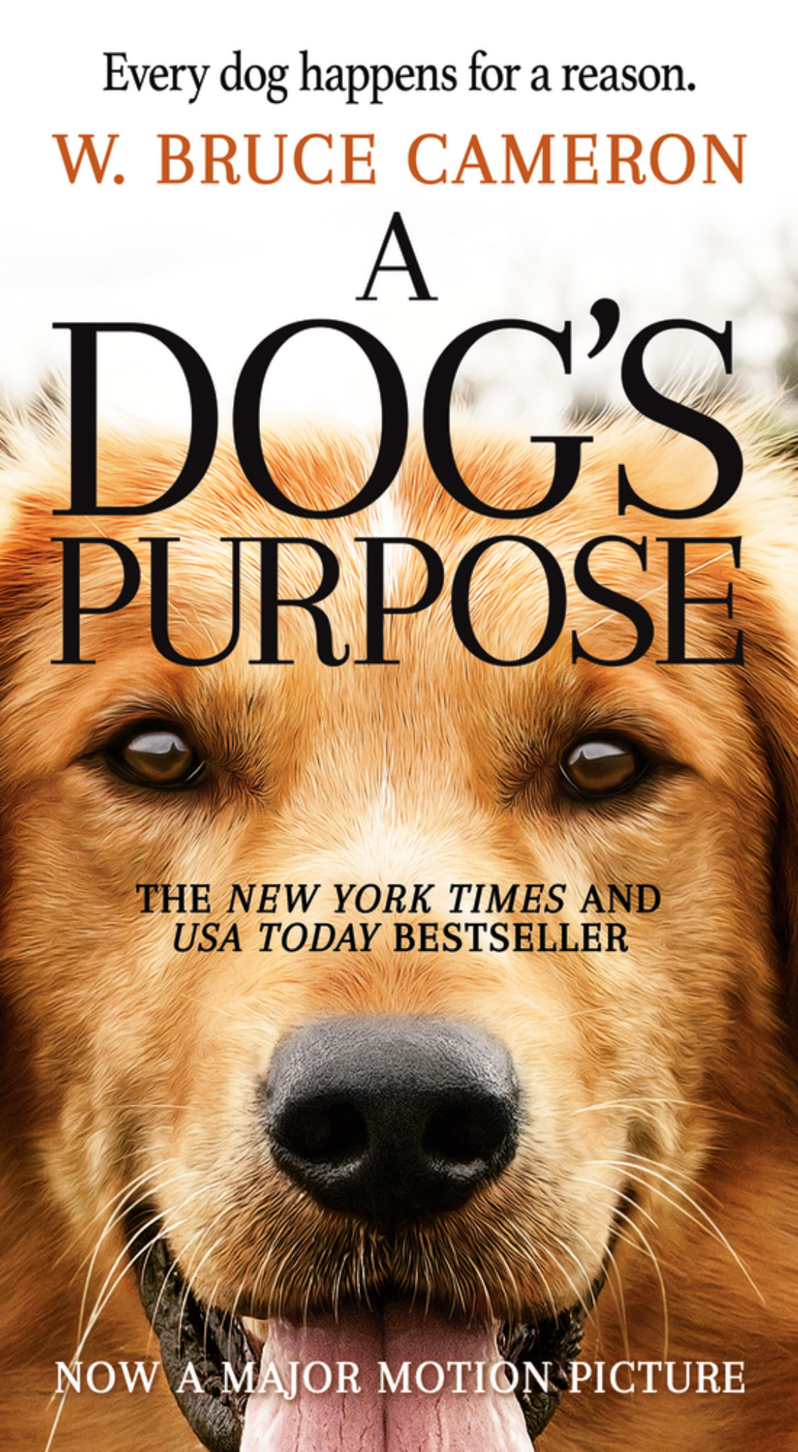 A Dog’s Purpose - Plugged In