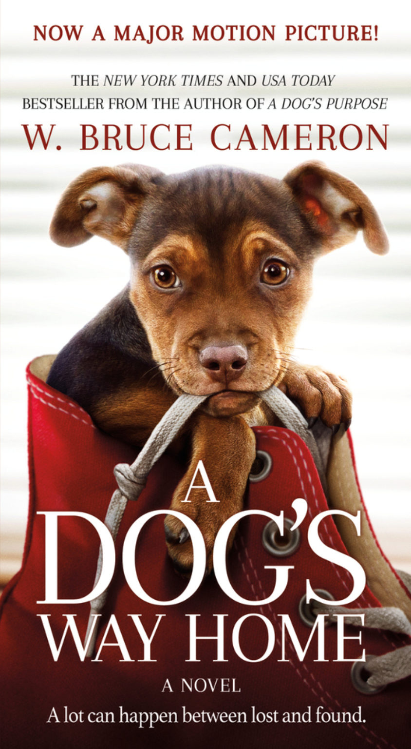 A Dog’s Way Home - Plugged In