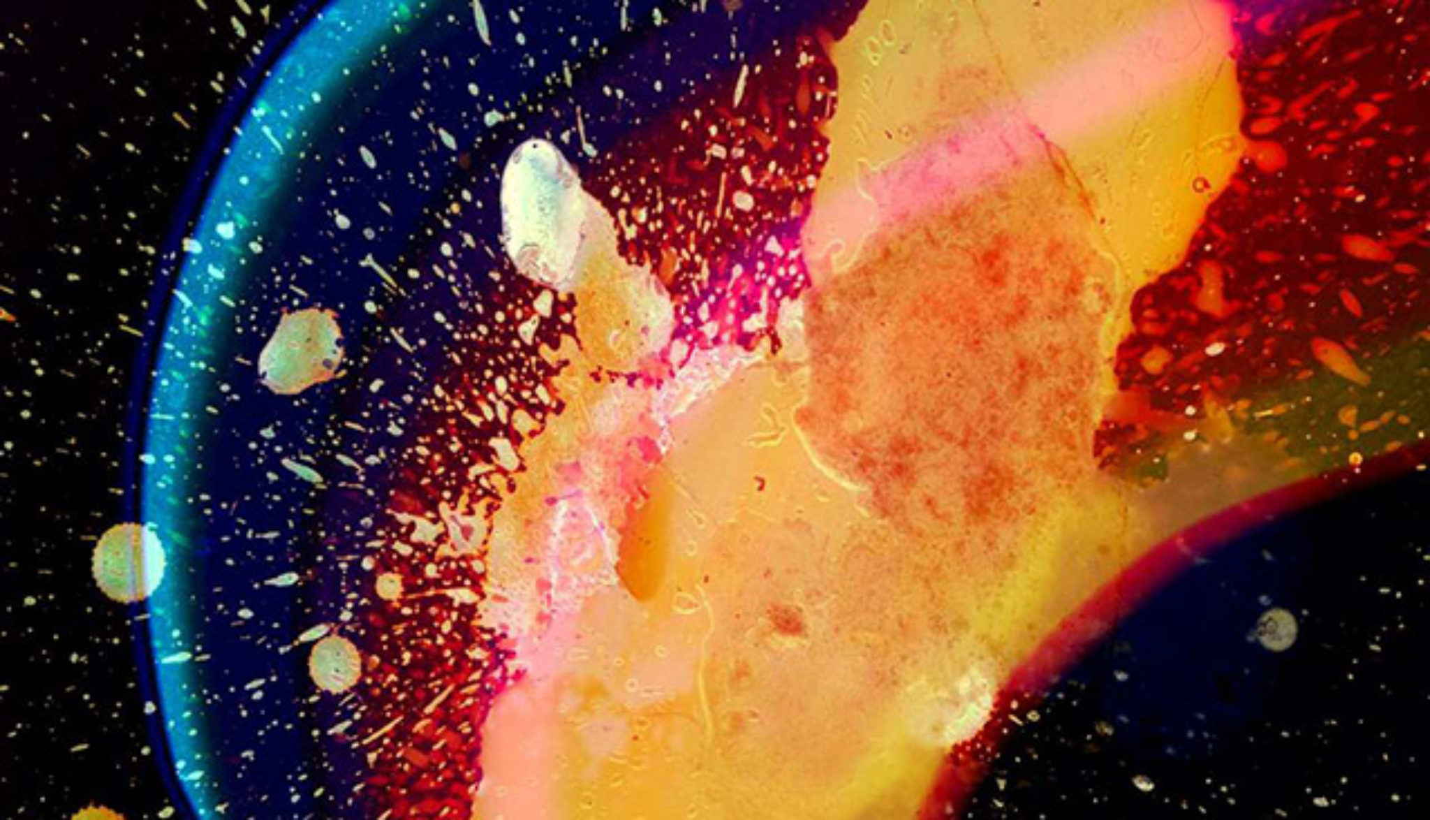 In Rainbows - Plugged In