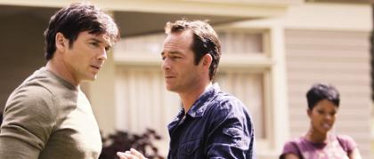 Windfall - Plugged In