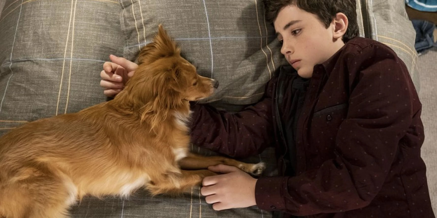 The Healing Powers of Dude - Plugged In