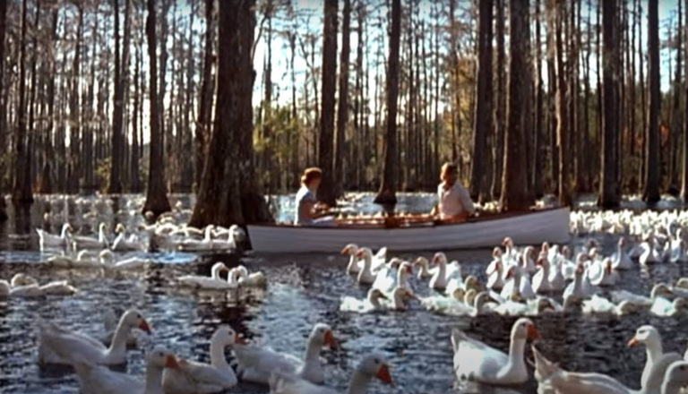 The Notebook - Plugged In