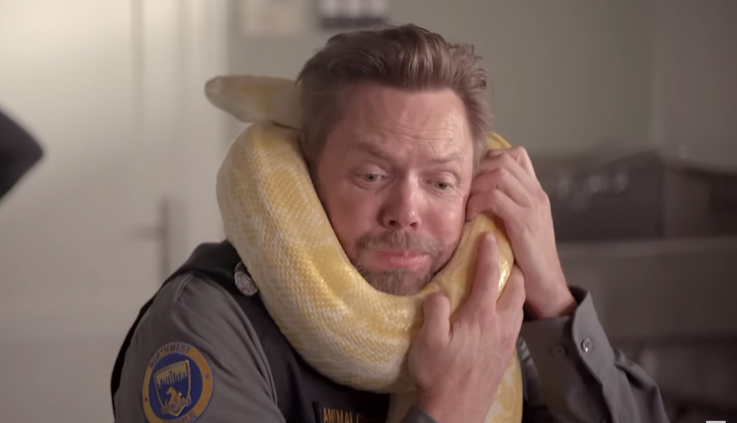 Animal Control - Plugged In