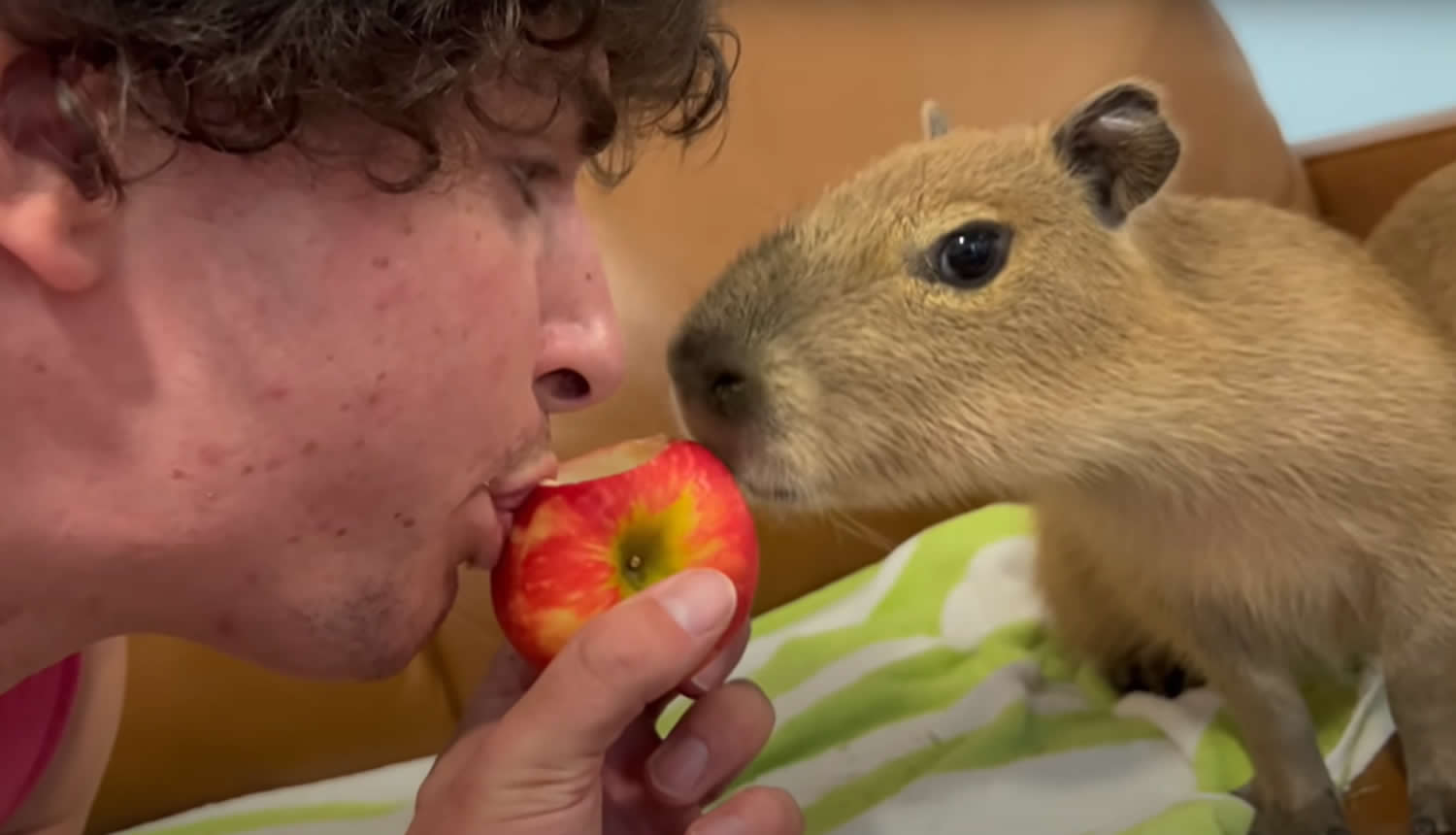 Best YouTubers of 2024: Plugged In's Year-End Picks - Plugged In