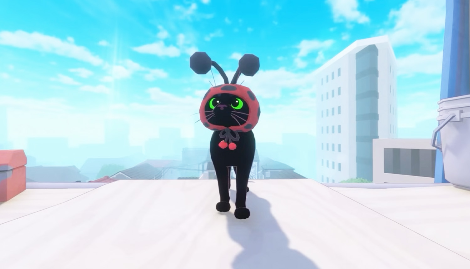 Kitty Bog Little Kitty, Big City | We're Thrilled To Announce Our