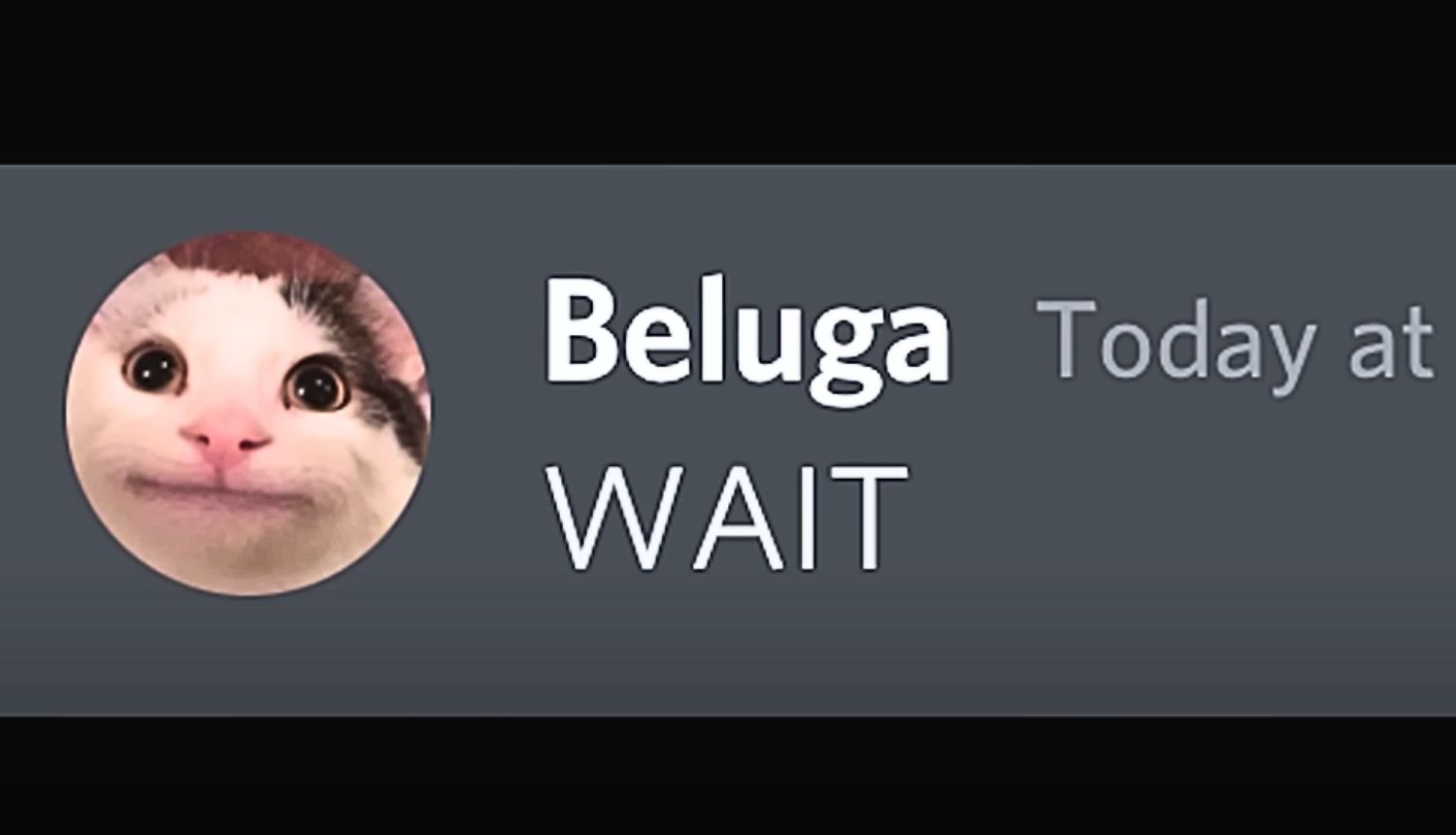 Beluga - Plugged In