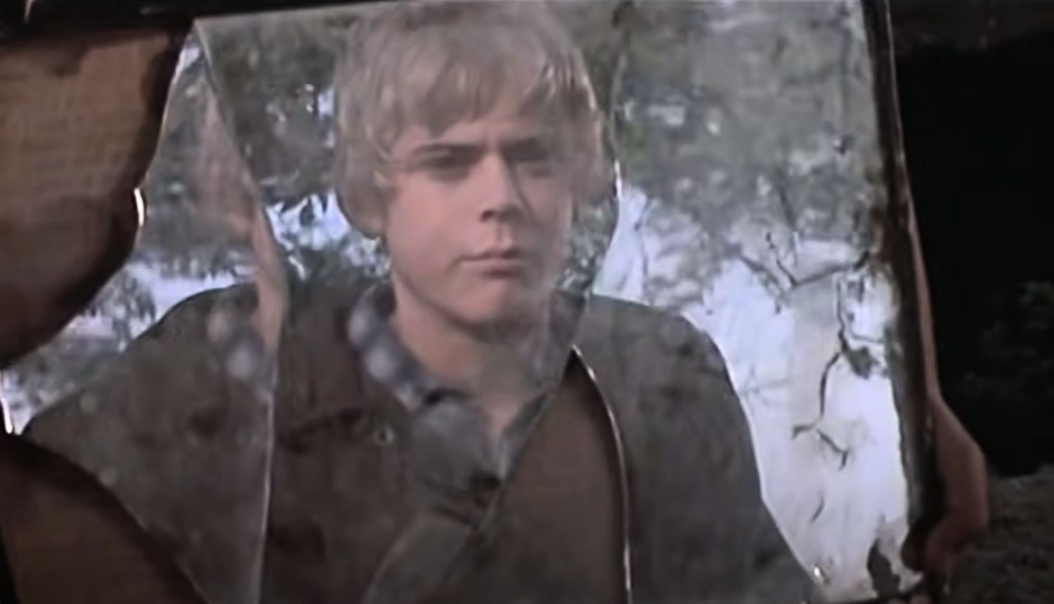 The Outsiders (1983) - Plugged In