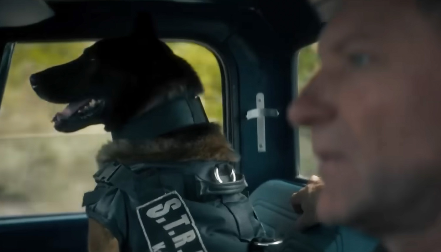 Muzzle: City of Wolves - Plugged In