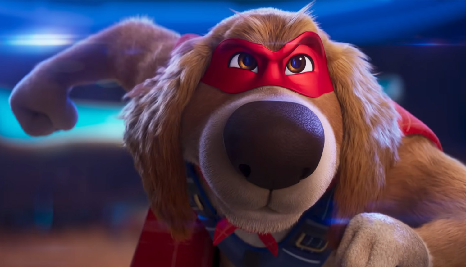 Charlie the Wonderdog - Plugged In